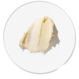 The IT Cosmetics Ultimate Ingredient Glossary | IT Cosmetics