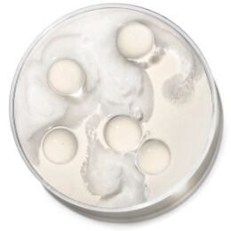 The IT Cosmetics Ultimate Ingredient Glossary | IT Cosmetics