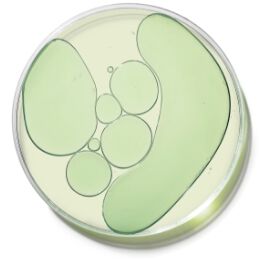 The IT Cosmetics Ultimate Ingredient Glossary | IT Cosmetics