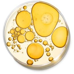 The IT Cosmetics Ultimate Ingredient Glossary | IT Cosmetics