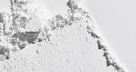 Learn the Benefits of Biotin in Skincare | IT Cosmetics